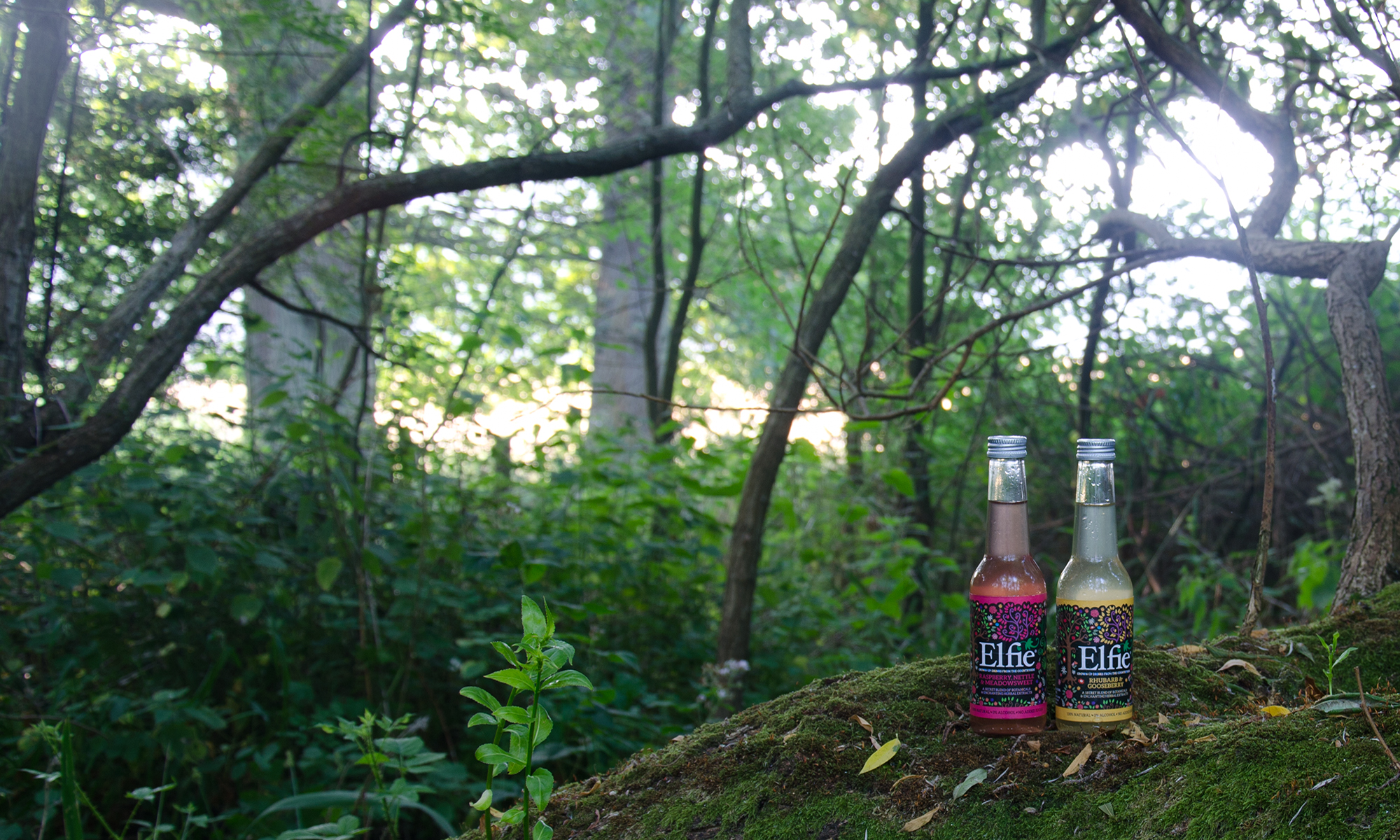 Elfie Home » Elfie~Drinks®